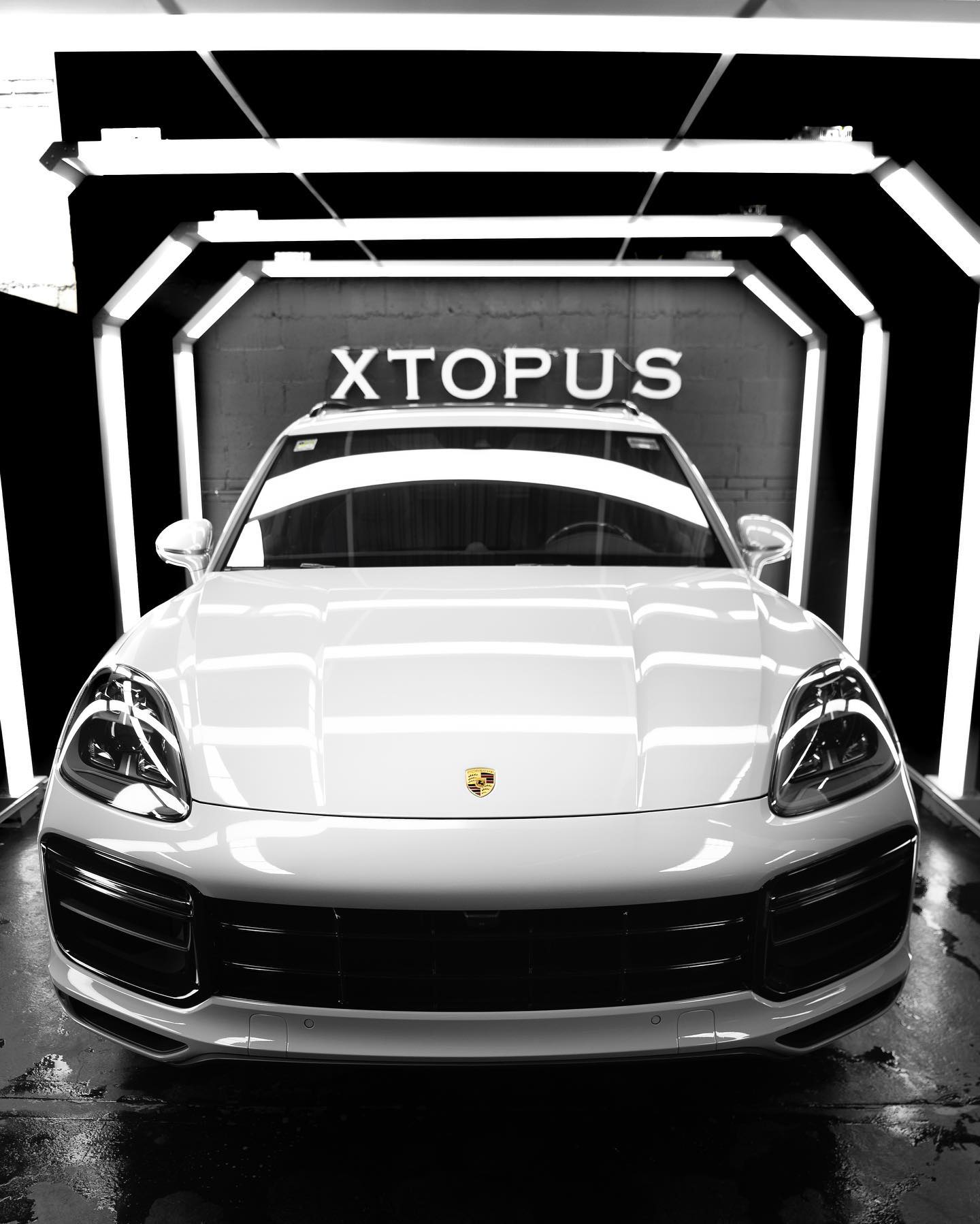 Wrapping México | XTOPUS